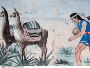 Llamas en Machu Picchu: Esencial para Incas y las SelfiesViajero Peruano